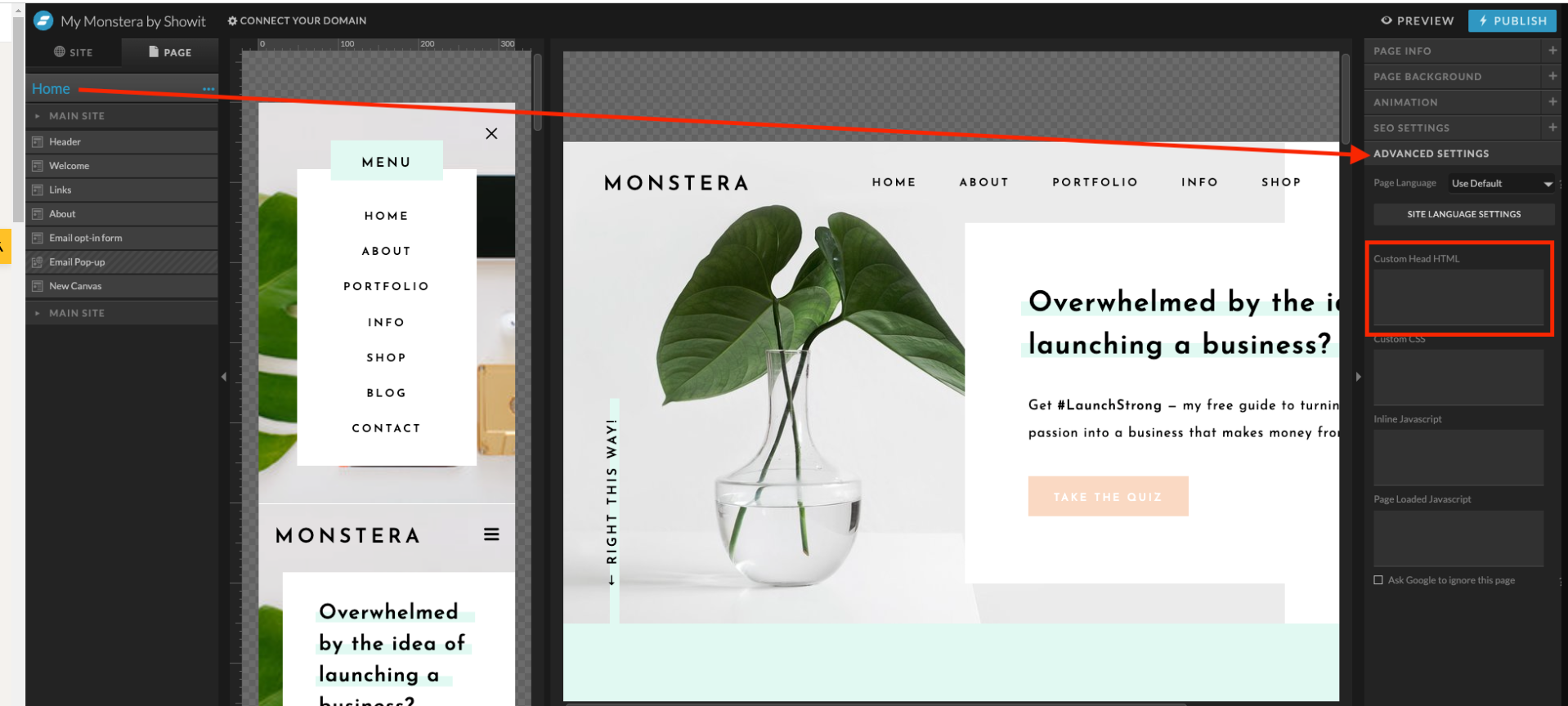 Add wisernotify pixel code on showit site